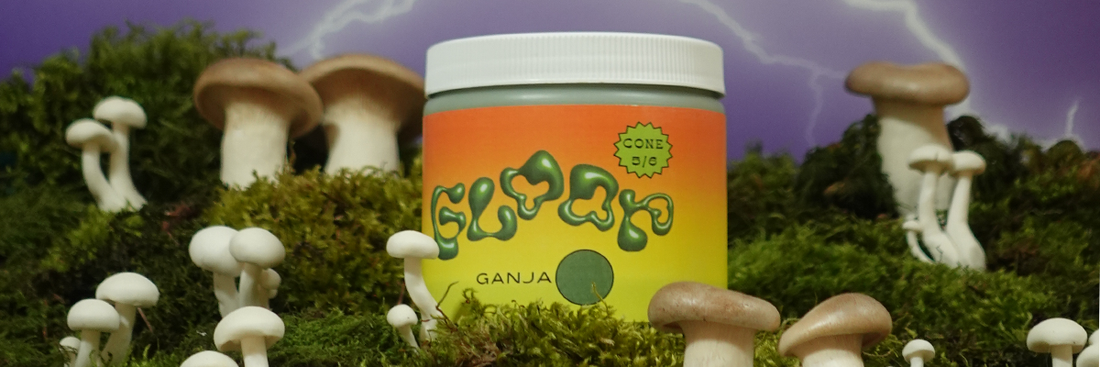 WIZARD GLAZE – Wizard Glaze